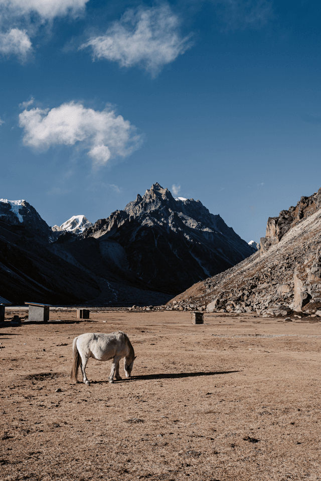 Kangchenjunga Conservation Area